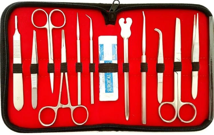 Dissection Biology Box for Medical Students Anatomy Laboratory Use ...