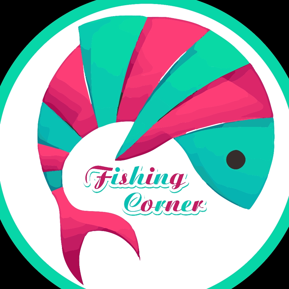 Shop online with Fishing Corner now! Visit Fishing Corner on Daraz.