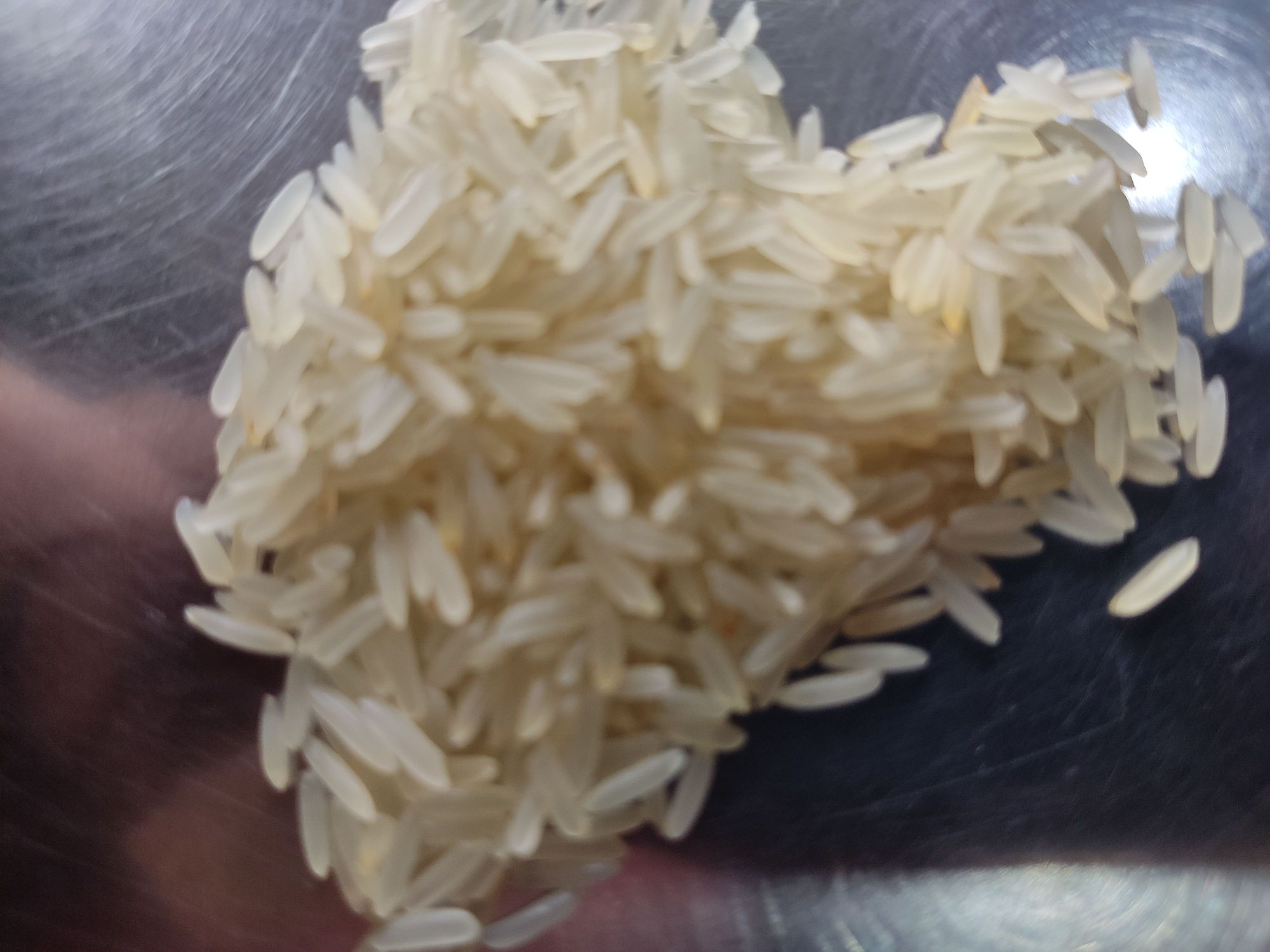 Golden Basmoti Rice ( Banglamoti) - 25 | Daraz.com.bd