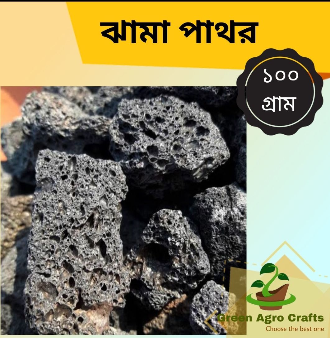 Decorative Lava Rock stone/jhama Pathor 100g | Daraz.com.bd