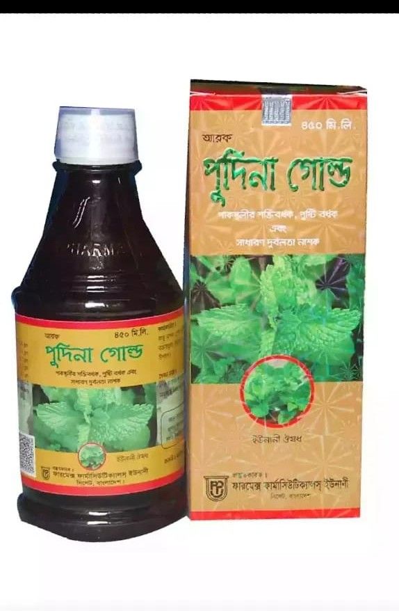 Pudina Gold Syrup 450ML | Daraz.com.bd