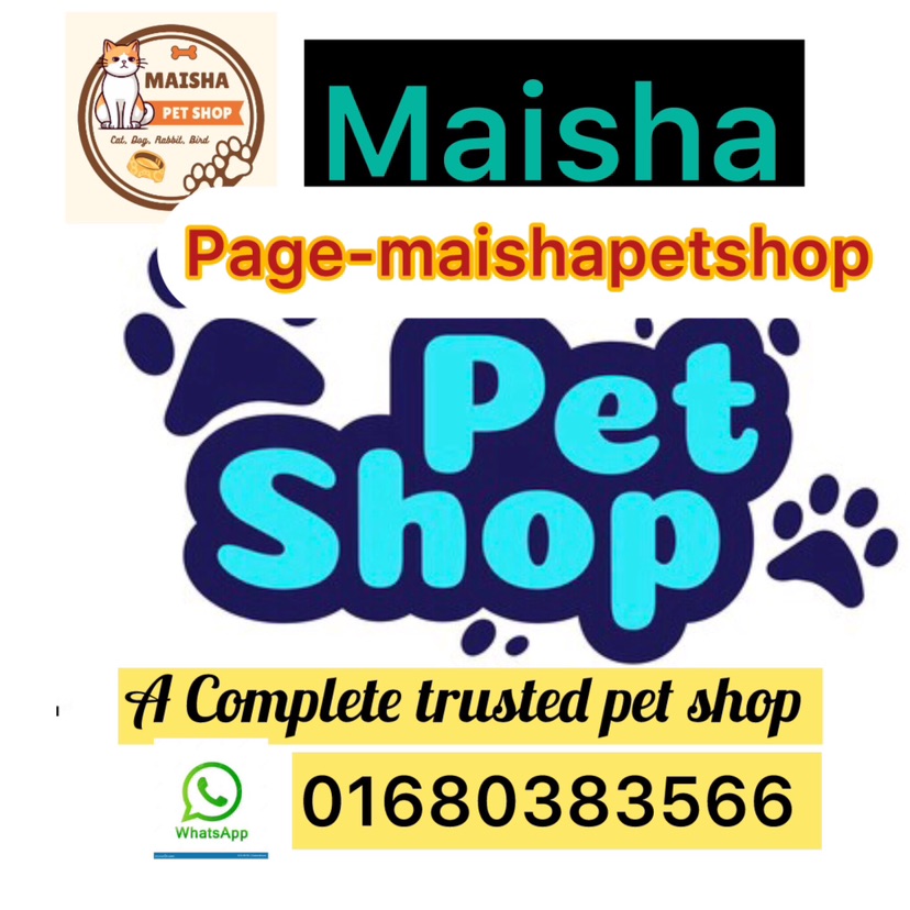 Shop online with Maisha Pet Shop now! Visit Maisha Pet Shop on Daraz.