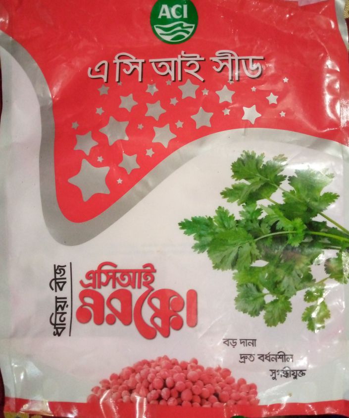 ACI Moroccan Coriander 1000 seeds. (Repack & include gift- 4 items ...