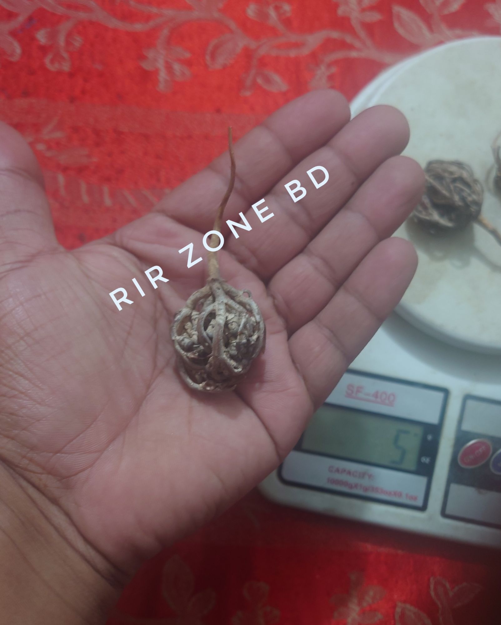 SMALL SIZE) Flower of Maryam Buti, Ease Labour Pain Plant Herb Nabi ...