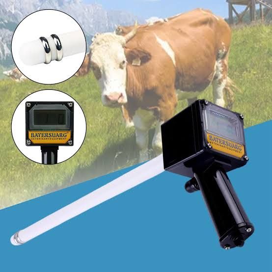Heat detection machine for Cow/Sheep/Goat | Daraz.com.bd
