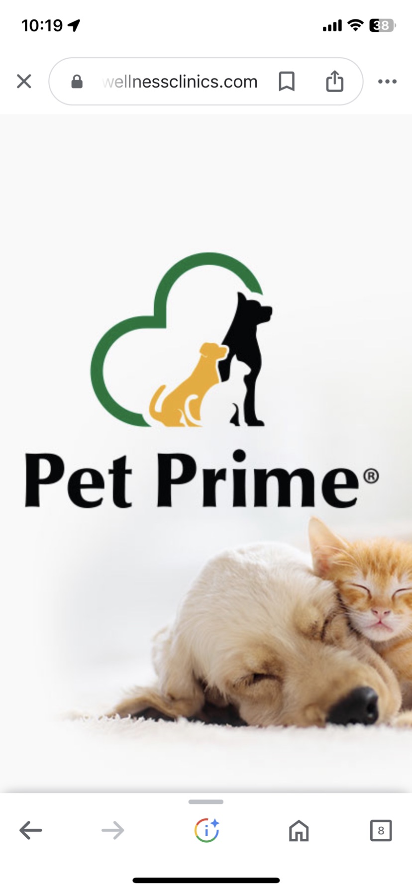 Shop online with Pet Prime now! Visit Pet Prime on Daraz.
