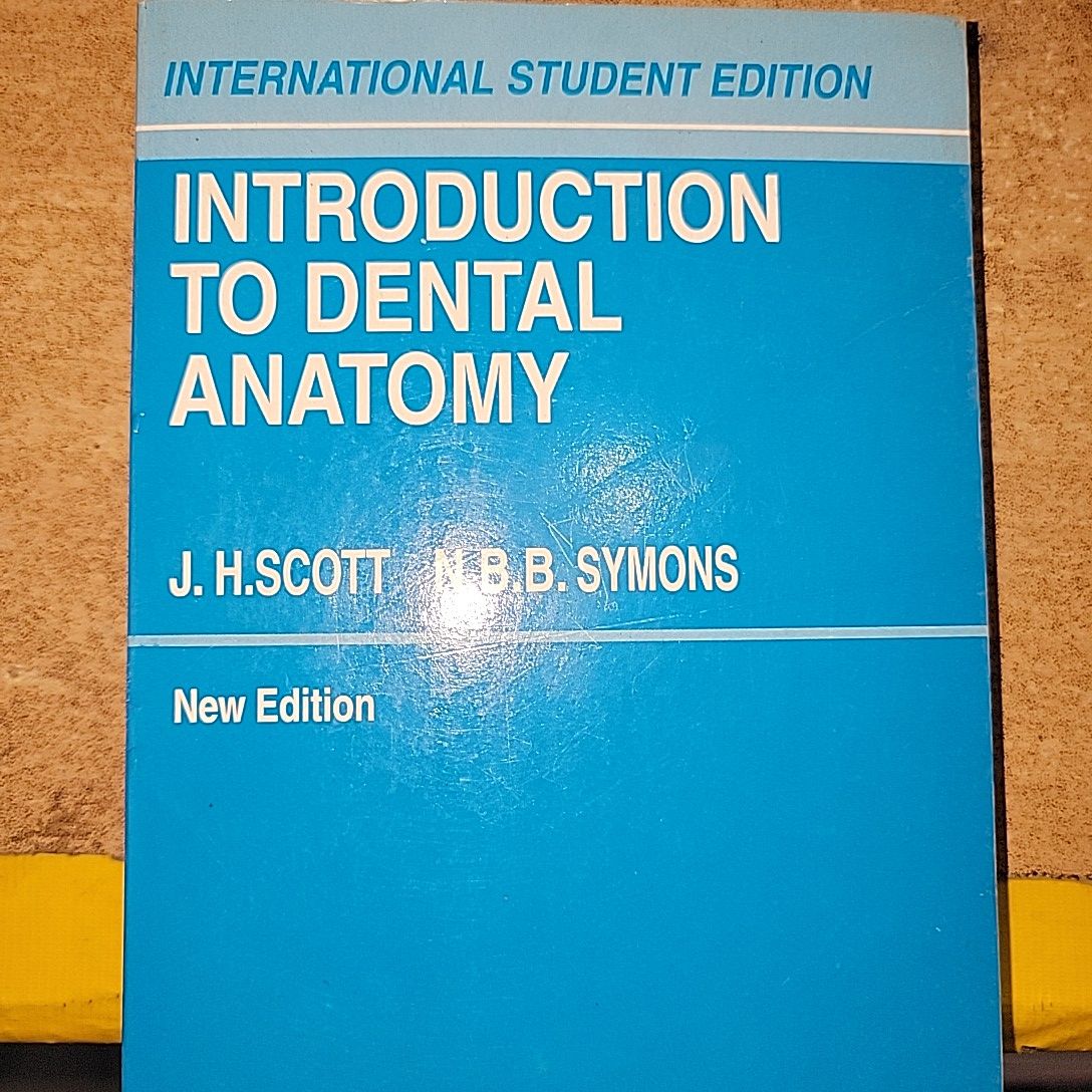 Introduction To Dental Anatomy Introduction To Dental Anatomy And