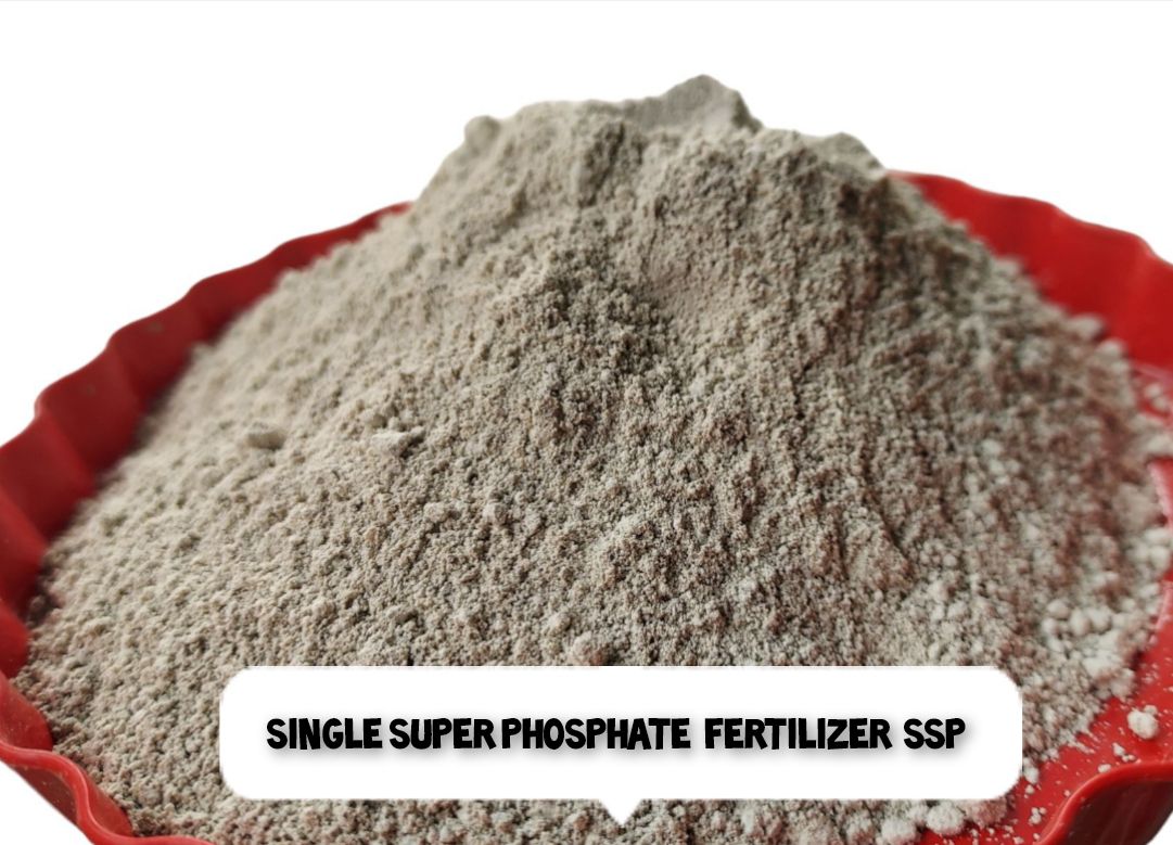 Single Super Phosphate Fertilizer ssp 1000 gm Repack Indian | Daraz.com.bd