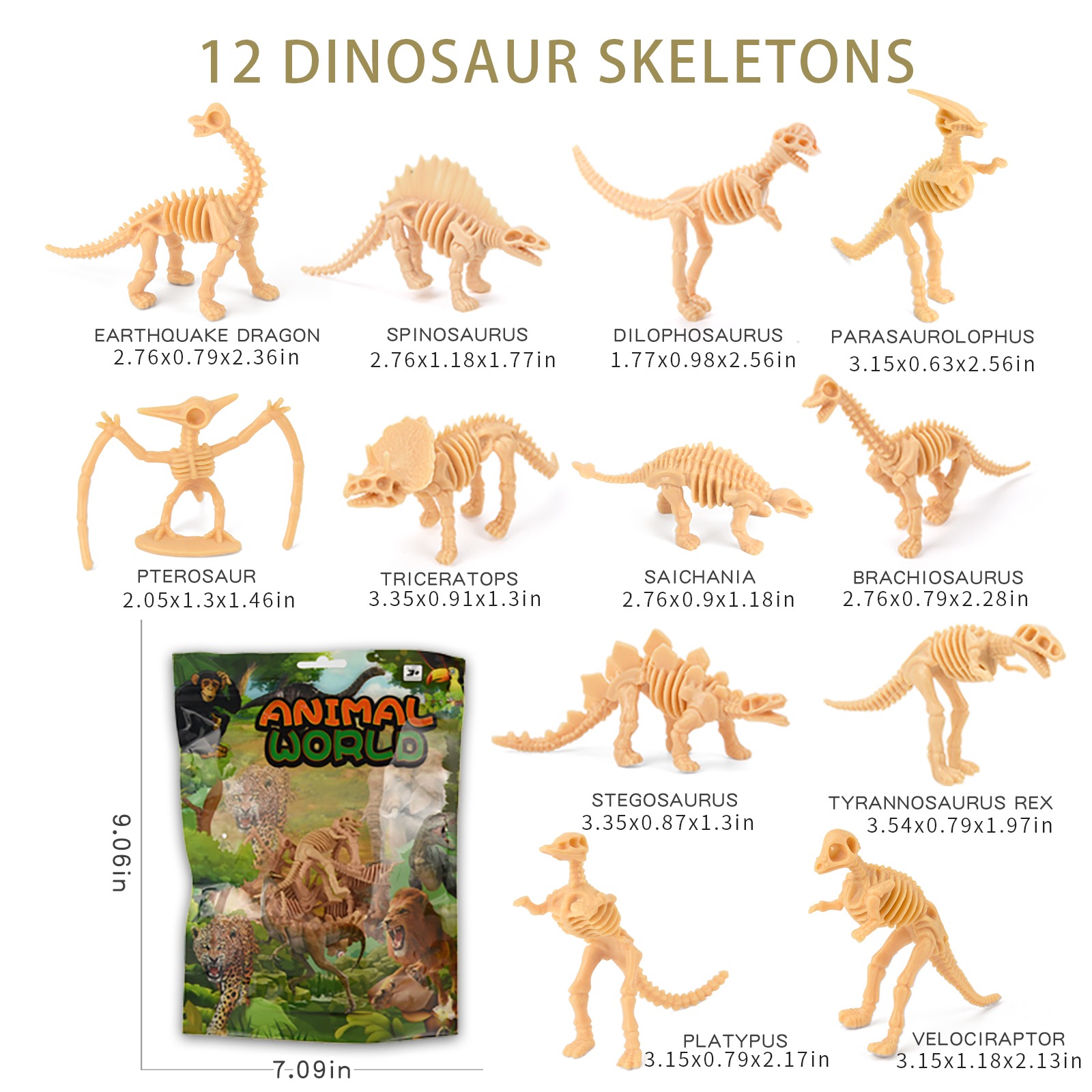 Dinosaur skeleton model early education cognitive archaeology 12 toys ...