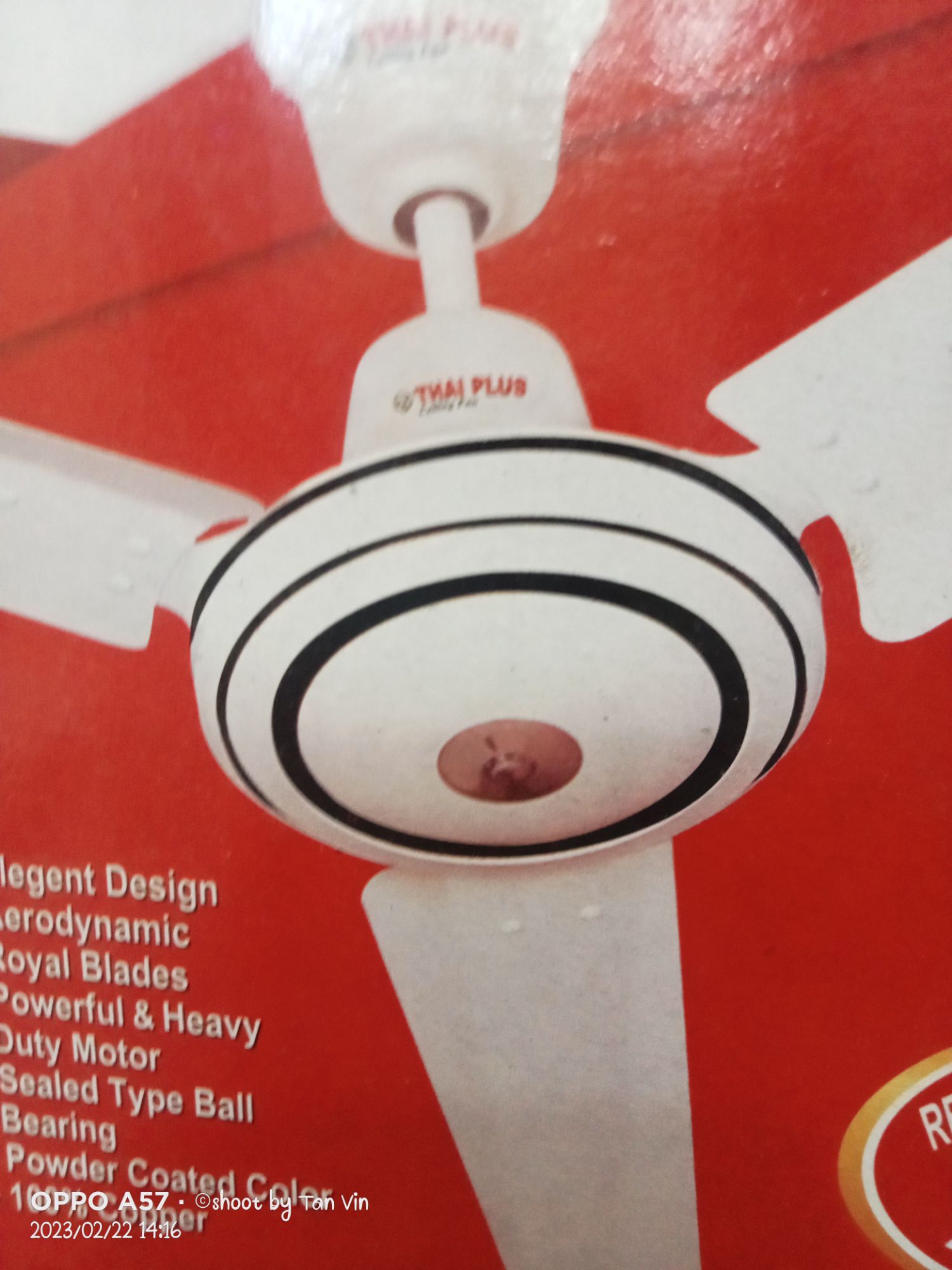 Thai Plus Celing fan | Daraz.com.bd