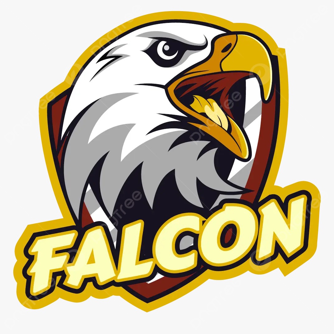 Shop online with Falcon Enterprise now! Visit Falcon Enterprise on Daraz.